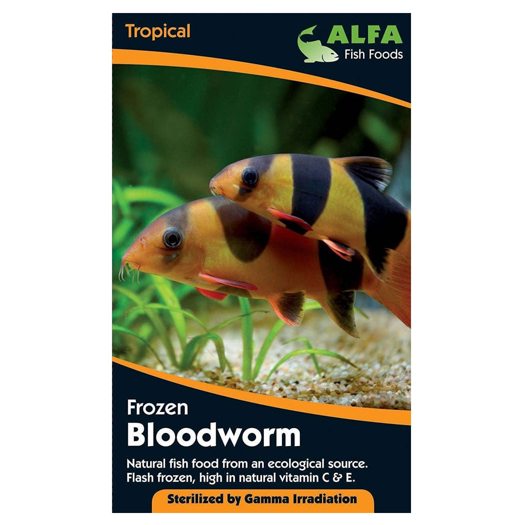 Alfa Frozen Bloodworm 100g Blister Packs Natural Fish Food Aquarium ...