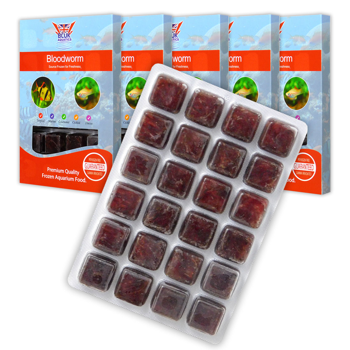 BCUK FROZEN BLOODWORM FISH FOOD 100g BLISTER PACKS FREEZE-DRIED ...