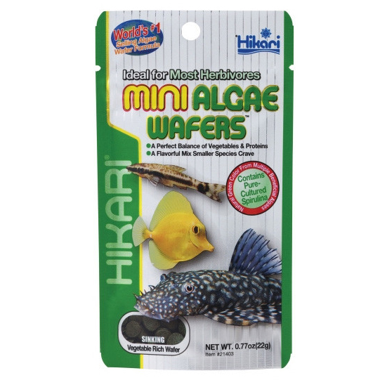 Hikari Mini Algae Wafers Fish Food Pleco Catfish Tropical Wafer ...