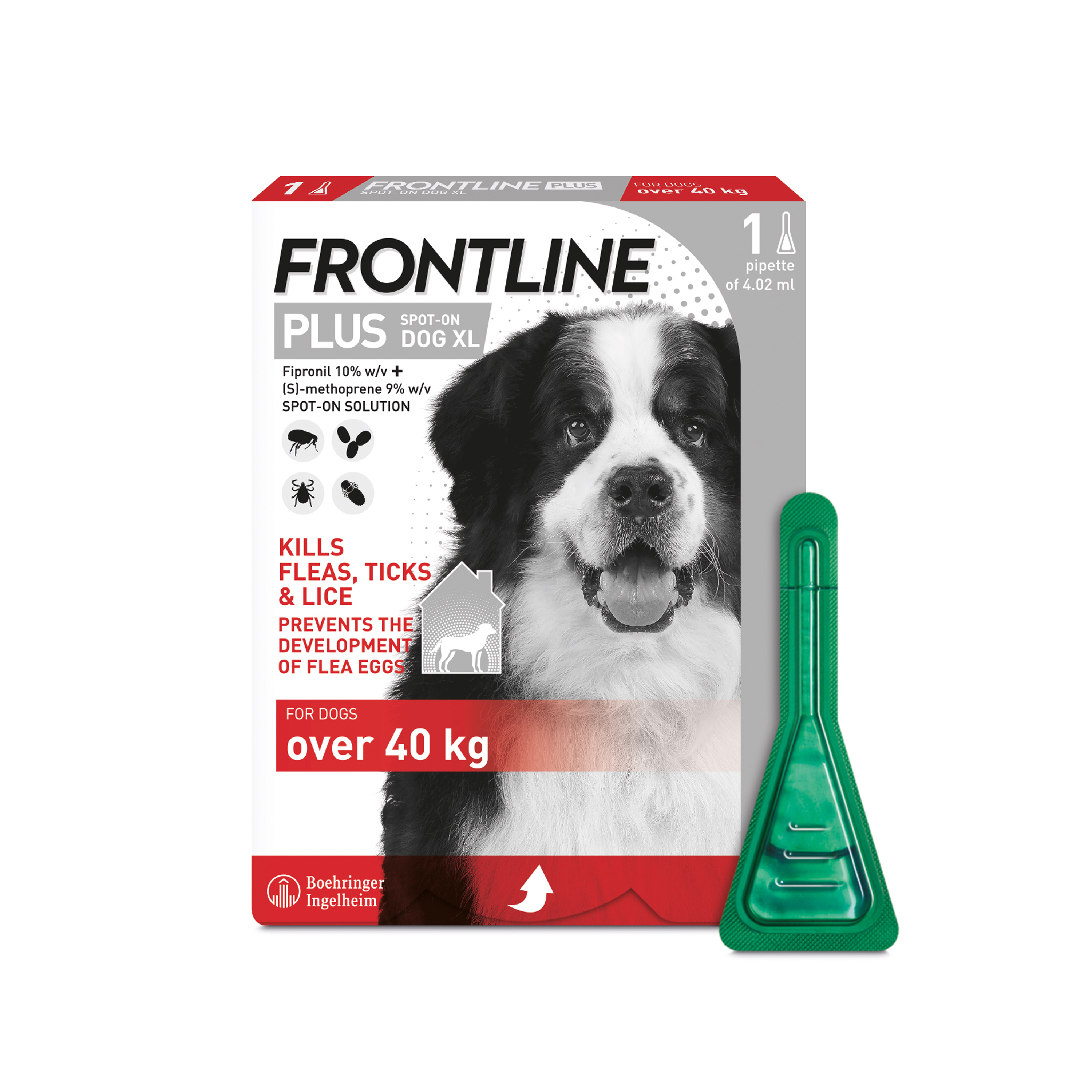 Frontline Spot On PLUS Cat Dog Flea Tick Lice Treatment 1, 3 Or 6 ...