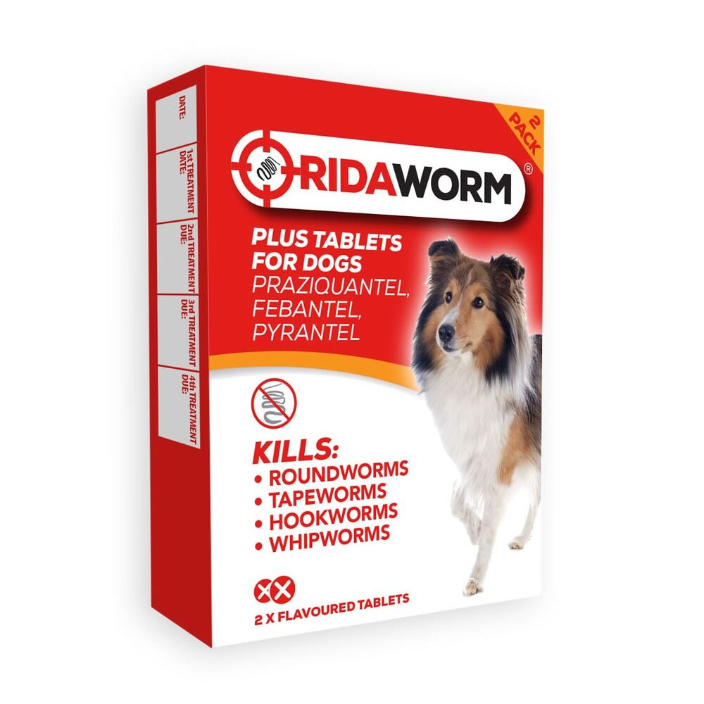 RidaWorm Cat Dog Wormer Multi Worming Tablets Treatments Kill Roundworm ...