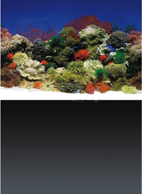 Superfish Aquarium Background Fish Tank Poster Decor Double Sided 5 To ...