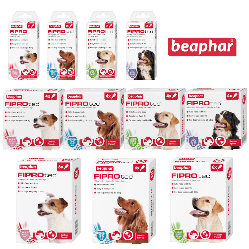 Beaphar Fiprotec Spot On Flea / Tick Treatment Fipronil Solution Remedy ...