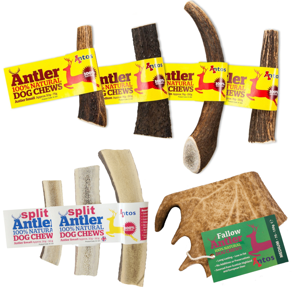 Dog Antler Chews Antos 100% Natural Antler Split & Fallow Dental ...